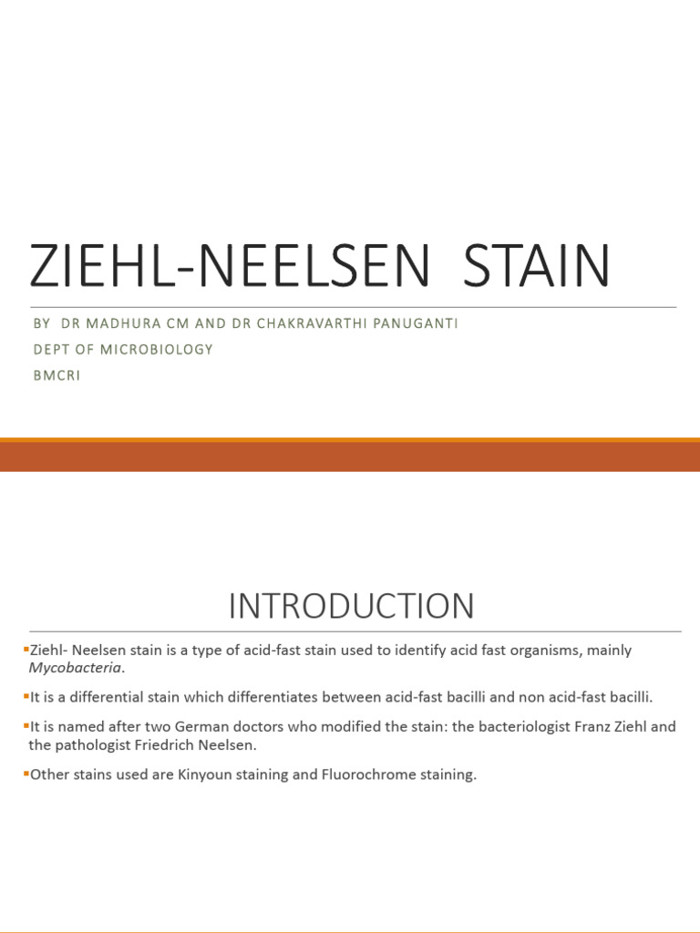 07 ZN STAIN BMCRI | PDF | Staining