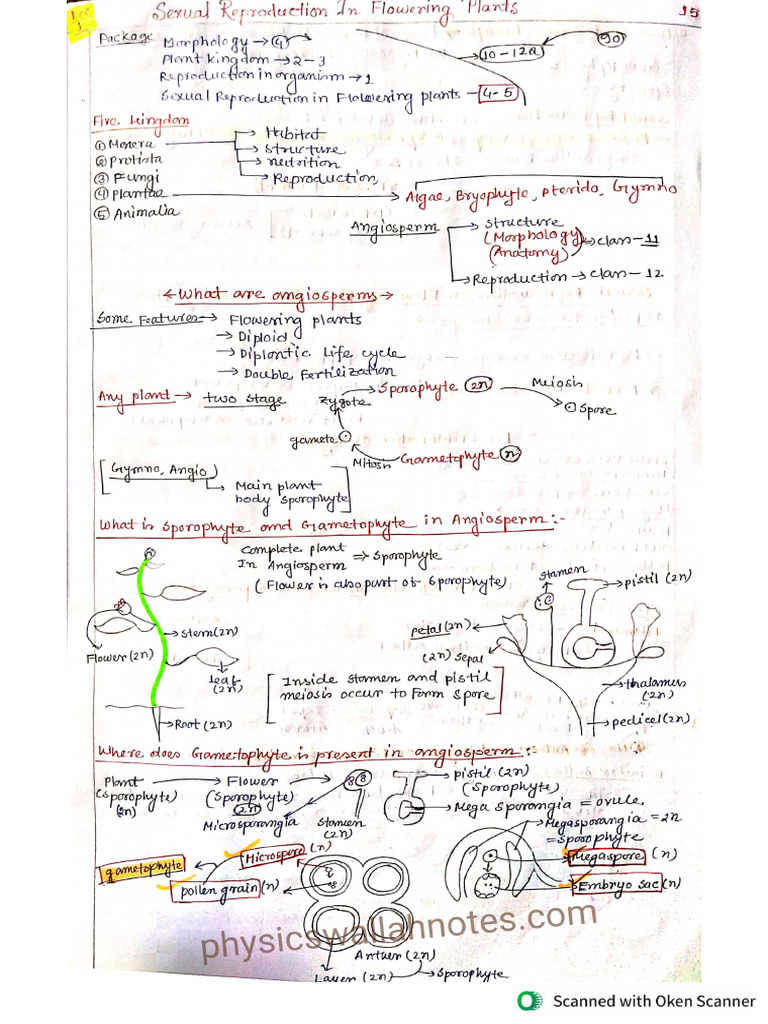 Sexual Reproduction in Flowering Plants NOTES | PDF