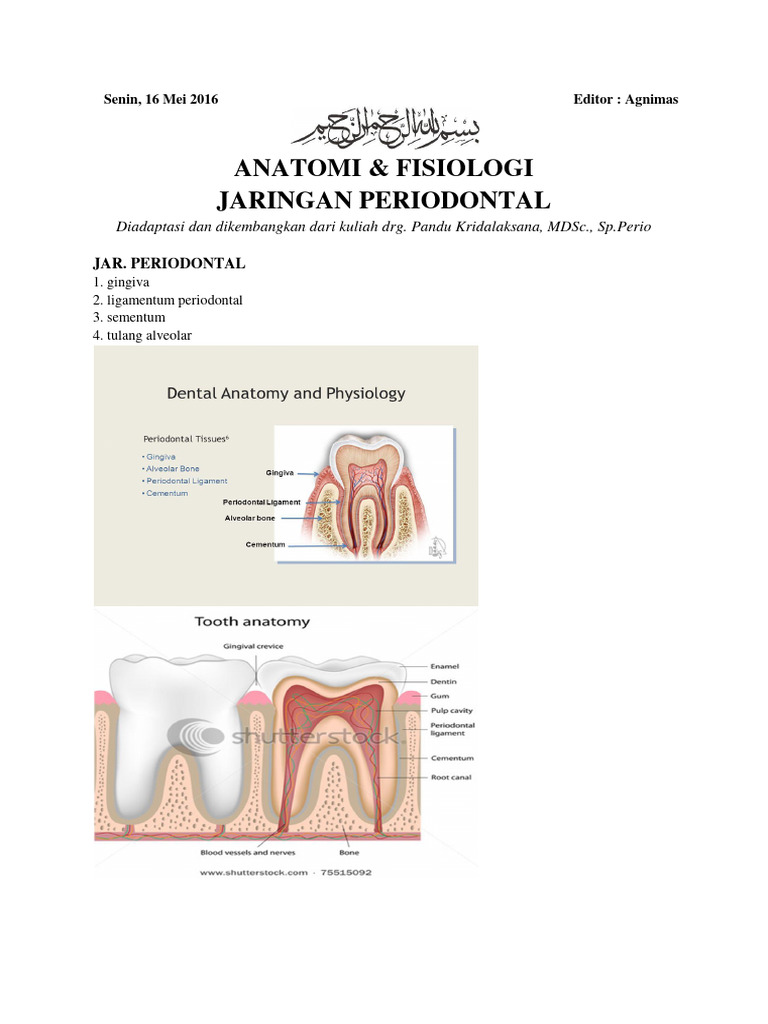 Modul Blok 18 | PDF | Sains & Matematika