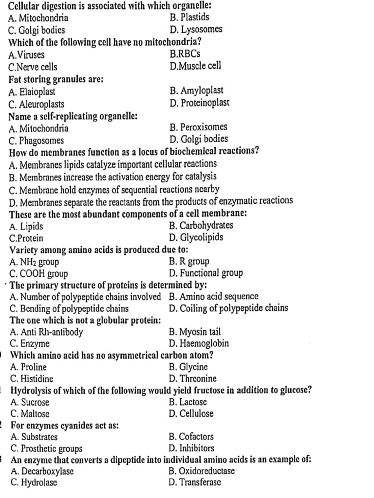 1st Year FLP Bio | PDF