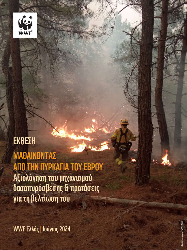 Fire Lessons-Learnt Evros | PDF