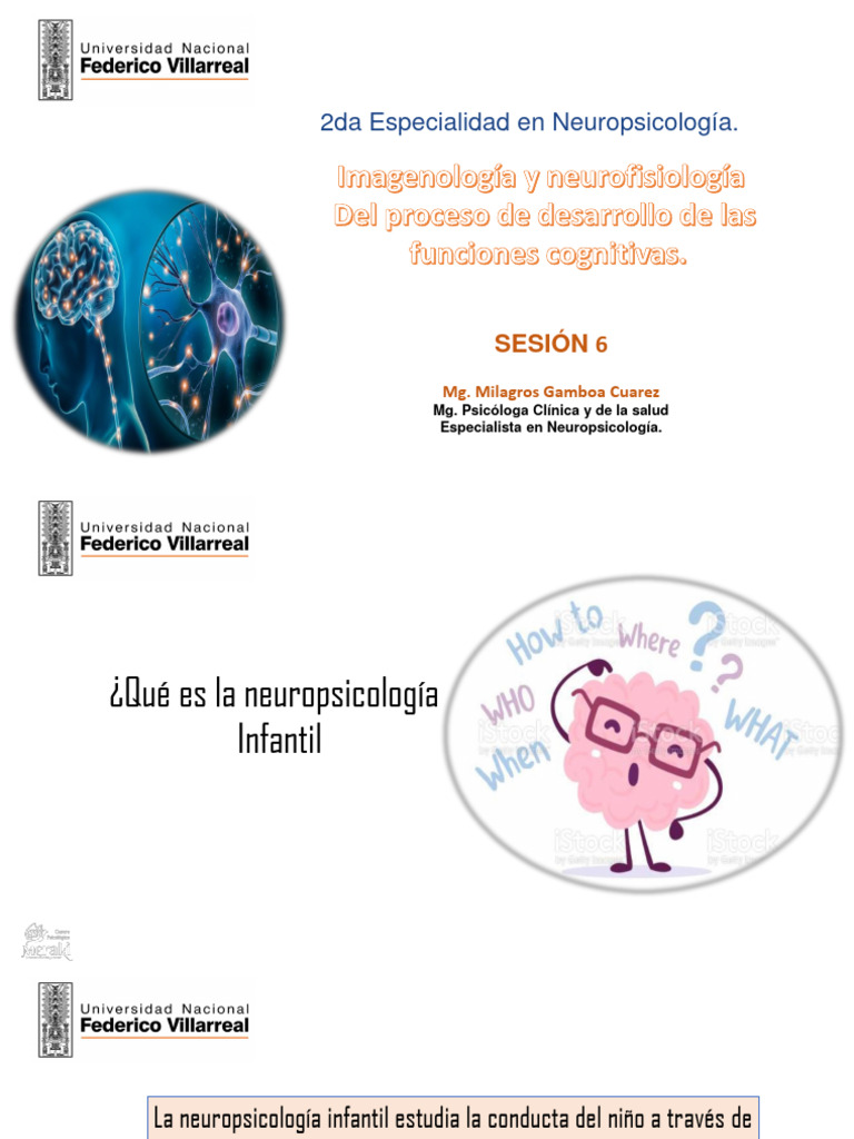 Clase 06 | PDF | Neurona | Cerebro