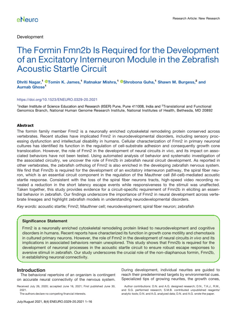 Dhriti Zebrafish | PDF | Exon | Cytoskeleton