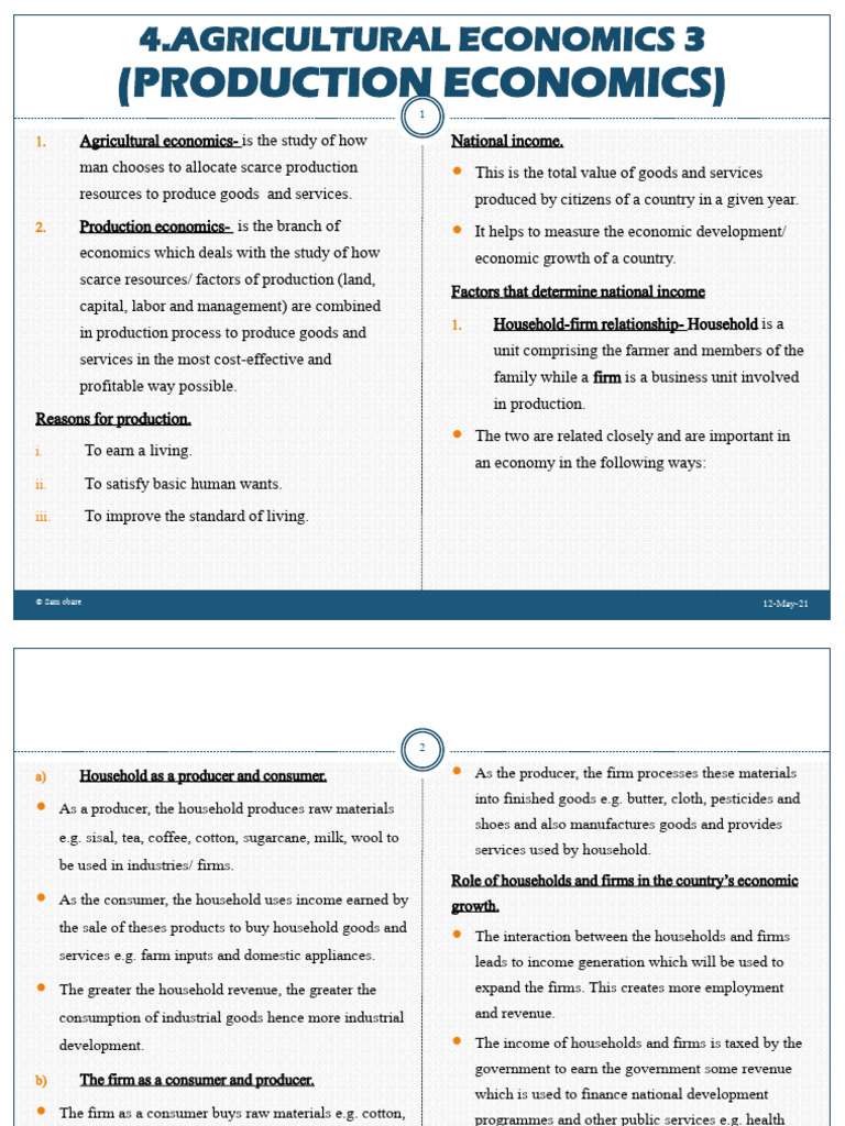 Production Economics. | PDF | Production Function | Gross Domestic Product