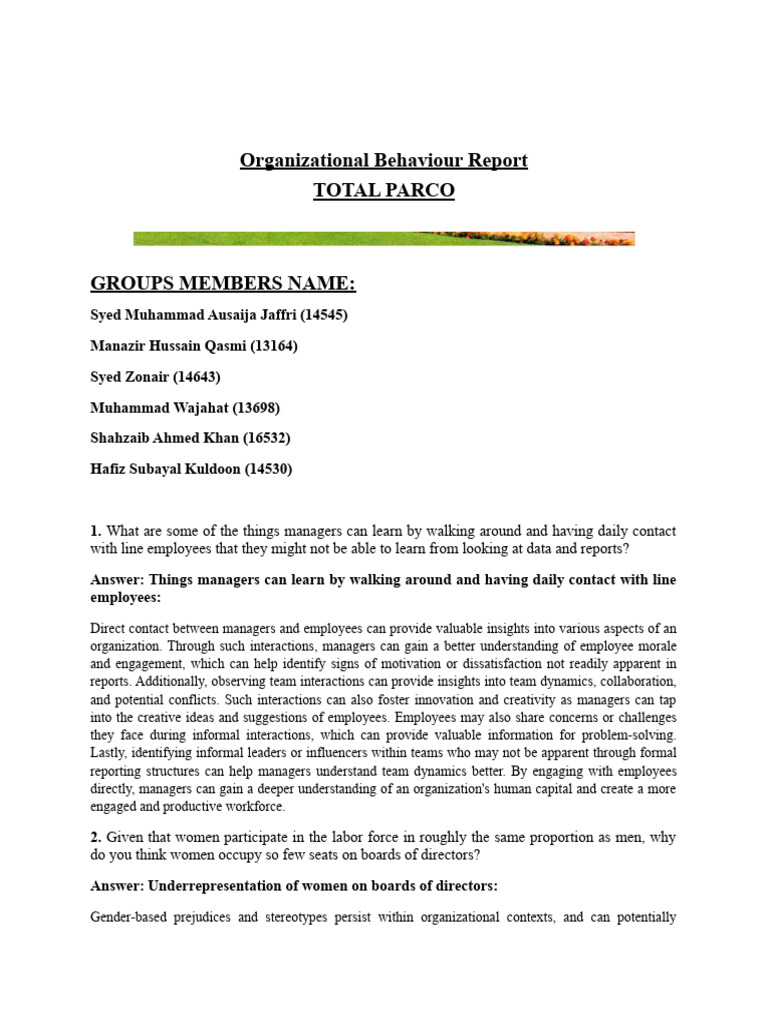 Organizational Behavior Insights Report | PDF | Leadership | Motivational