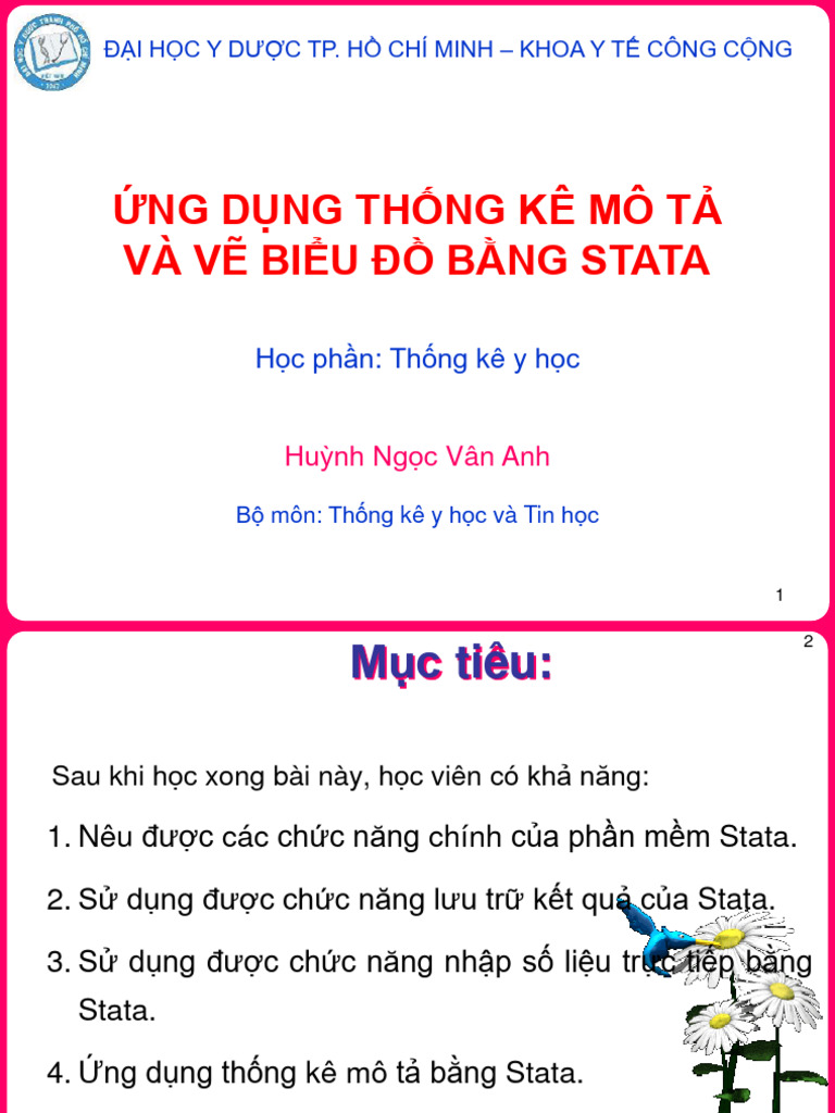 TKYH BSNT - Ung Dung Thong Ke Mo Ta Va Ve Bieu Do Bang Stata | PDF