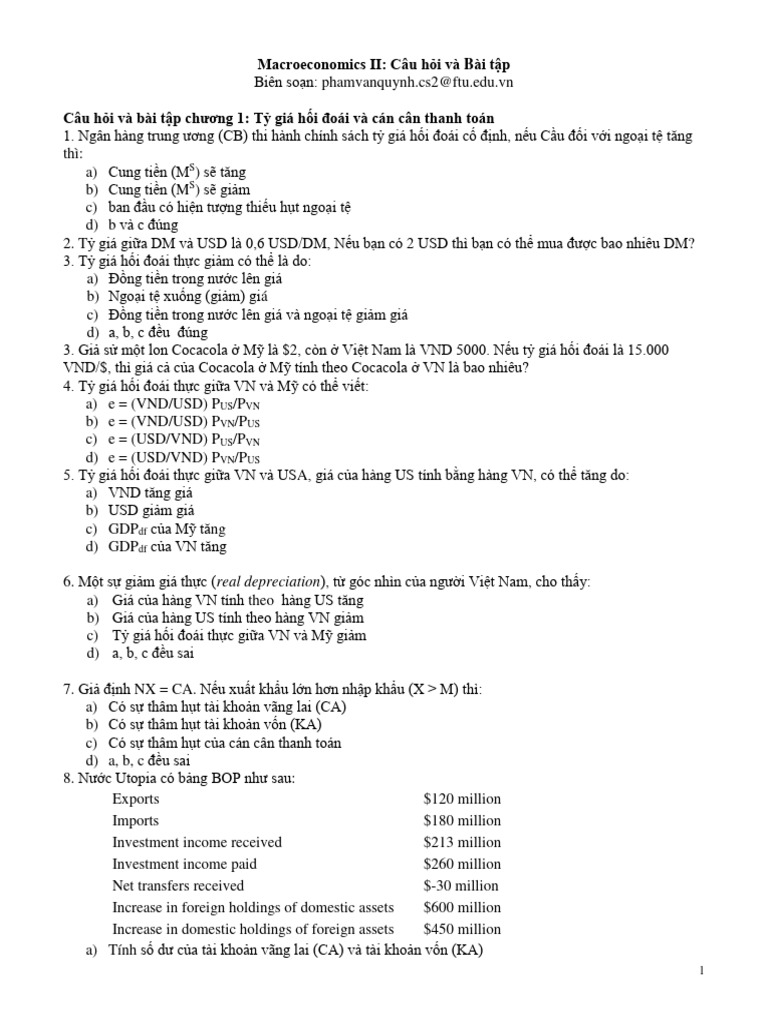 Macro2 Questions TS | PDF