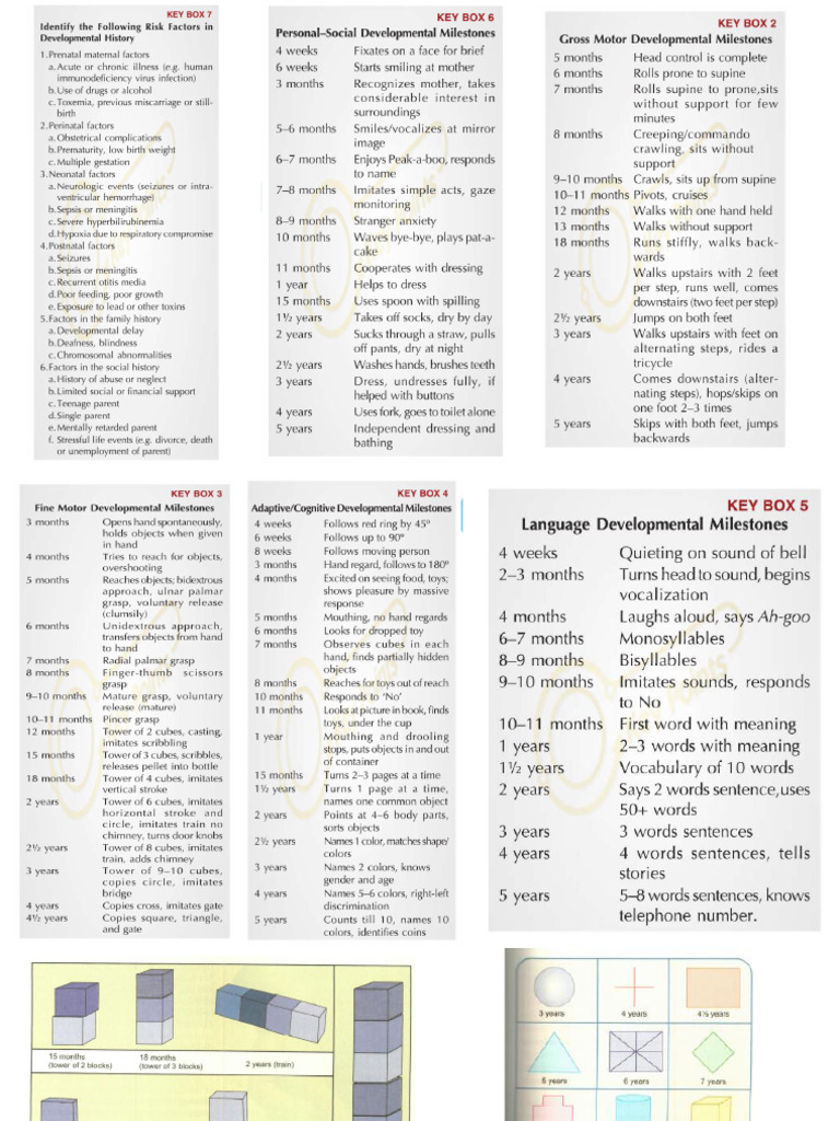Development Assessment | PDF