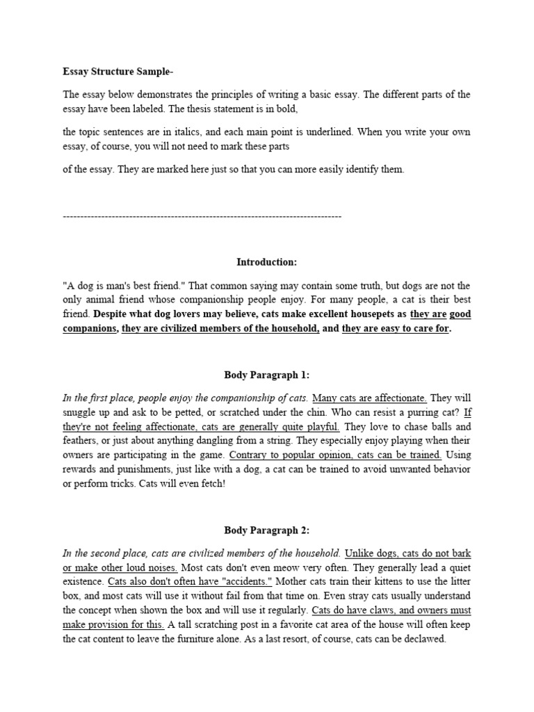 essay structure sample | PDF | Cats | Pet