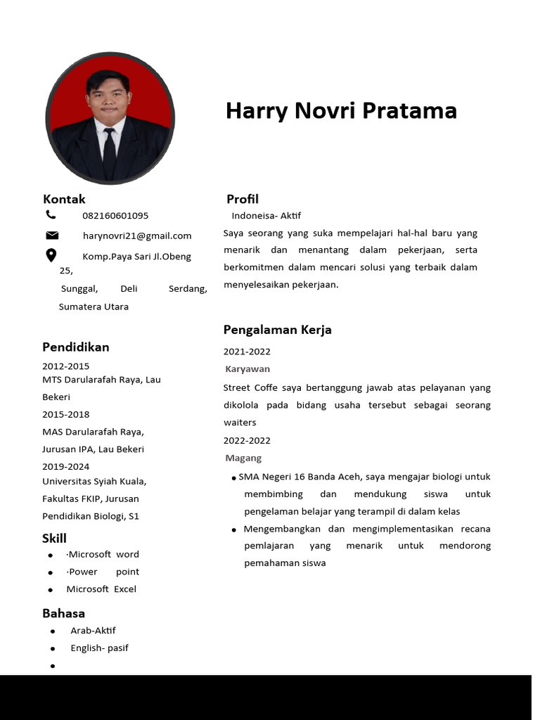 CV Harry | PDF