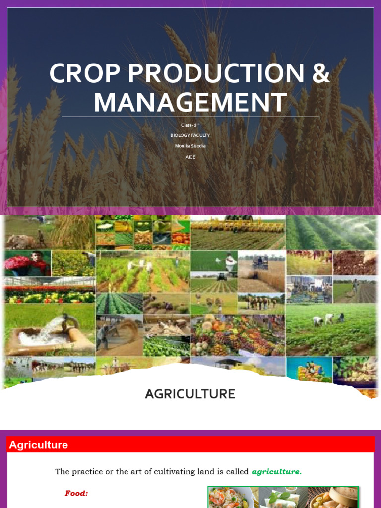Class 8 Crop Production | PDF | Fertilizer | Soil