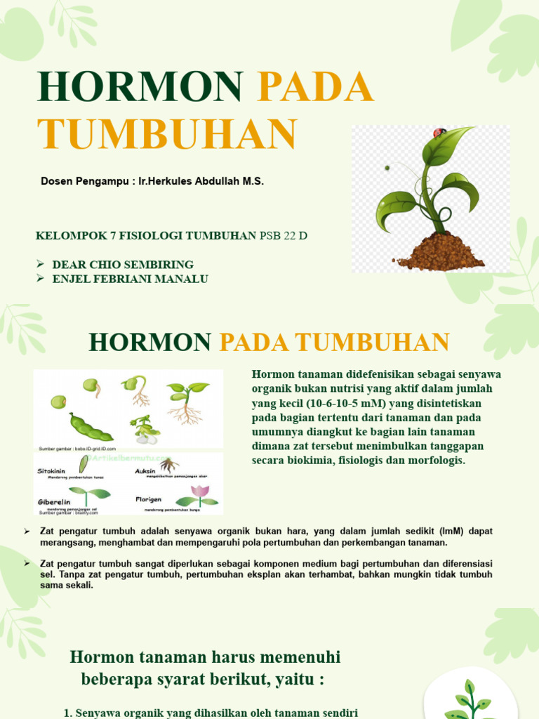 Hormon Kel. 7 Fisiologi Tumbuhan | PDF | Sains & Matematika