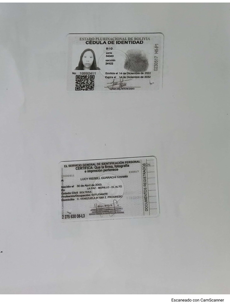 Carnet-Lucy Rissell Guarachi Chambi | PDF