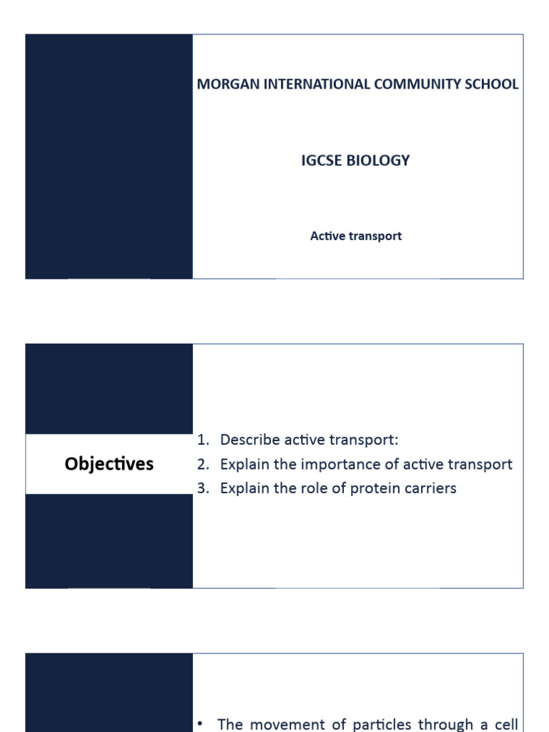 Understanding Active Transport in Cells | PDF