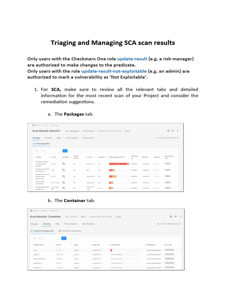 Triaging and Managing SCA Results | PDF