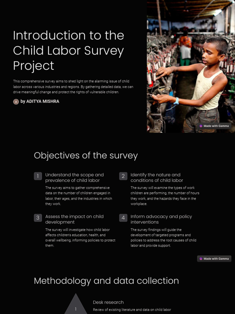 Introduction-to-the-Child-Labor-Survey-Project | PDF | Focus Group ...