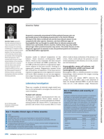 Interpreting IDEXX ProCyte Dx Dot Plots | PDF | White Blood Cell ...