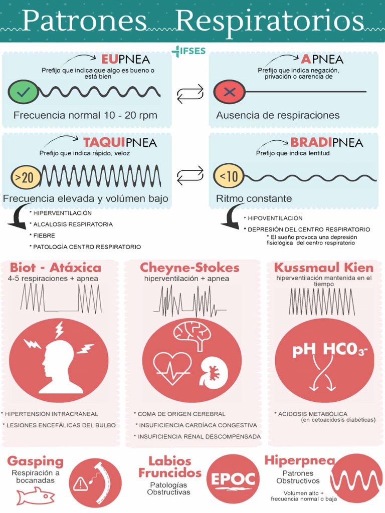 Tema_21_EIR-INFOGRAFIA_-_Patrones_Respiratorios | PDF | Apnea | Especialidades Medicas