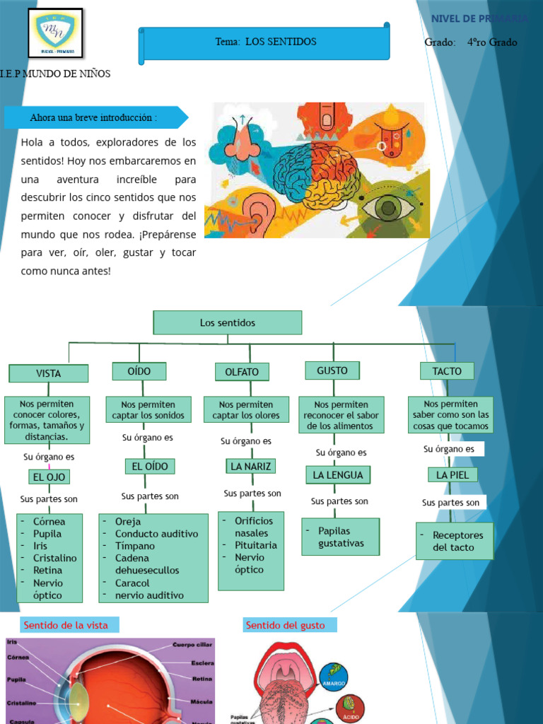 Descubre los Cinco Sentidos en Niños | PDF | Artes del Lenguaje y ...