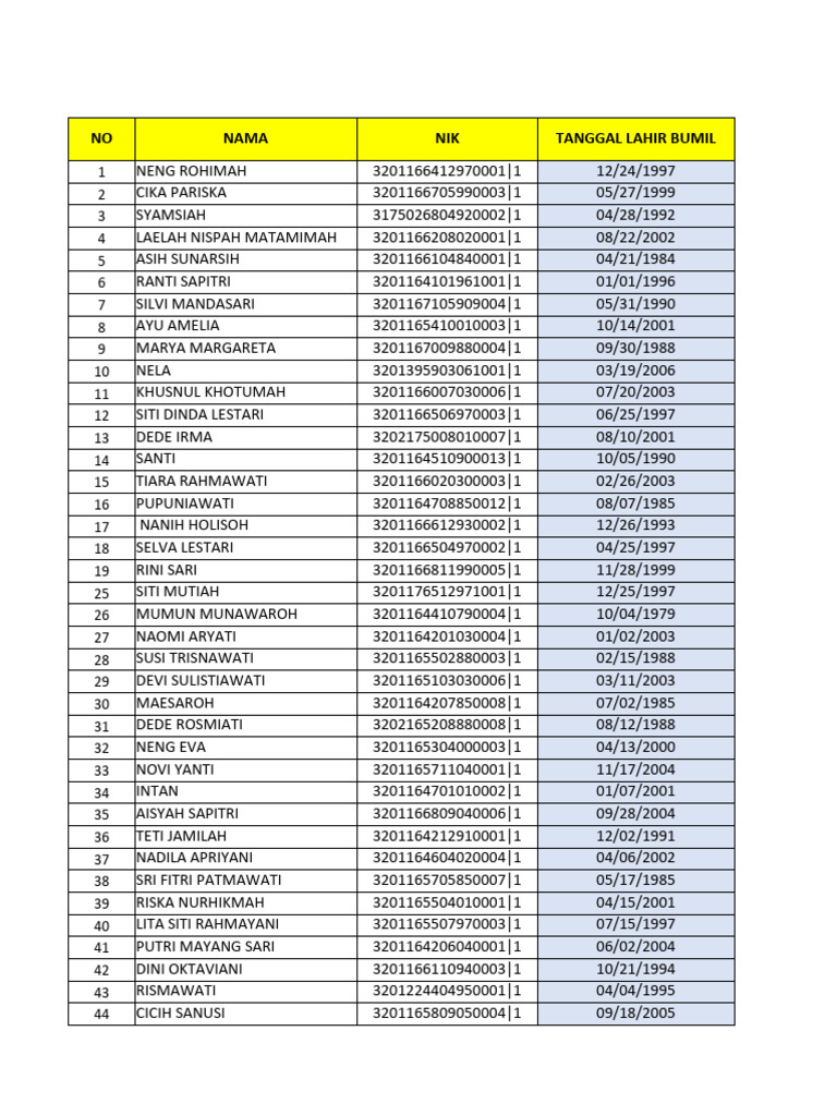 Data PMT Khusus Bumil Dan PMT Khusus Balita 2024-1 | PDF