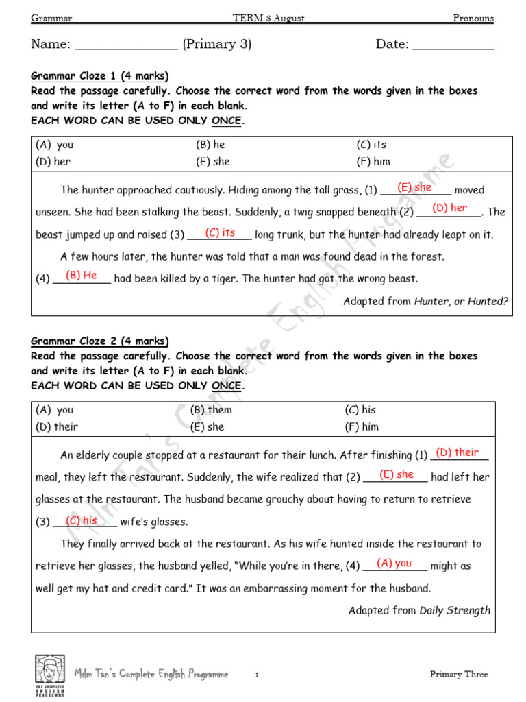 Pronouns Cloze Test Ans | PDF