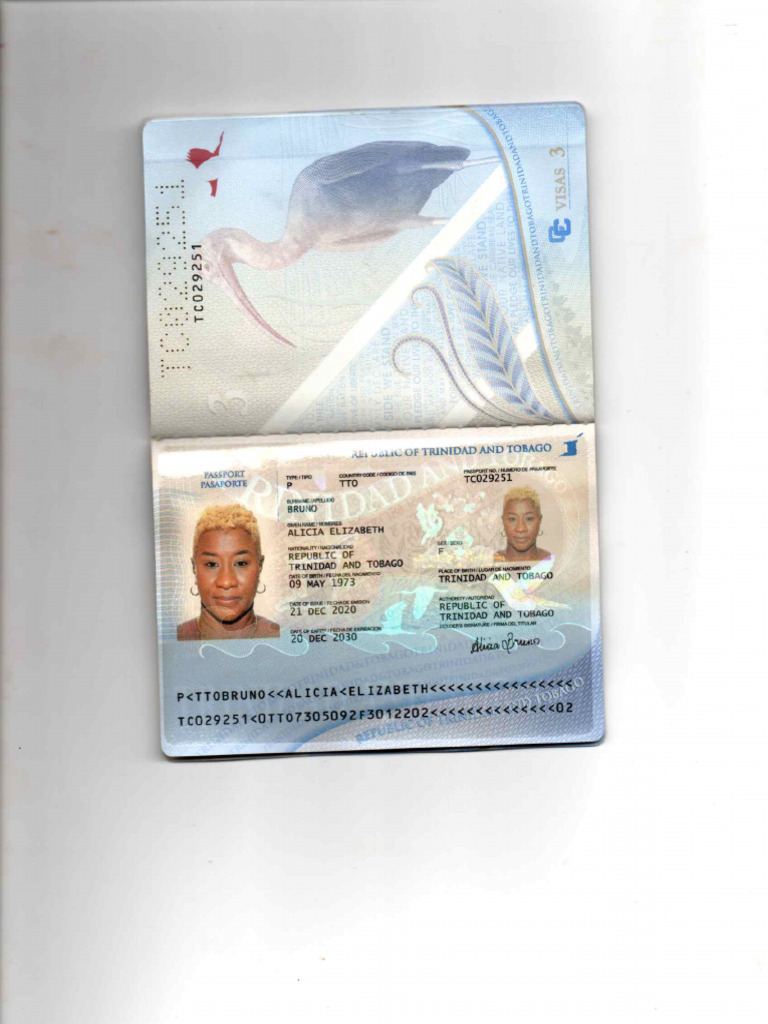 Passport Scan | PDF