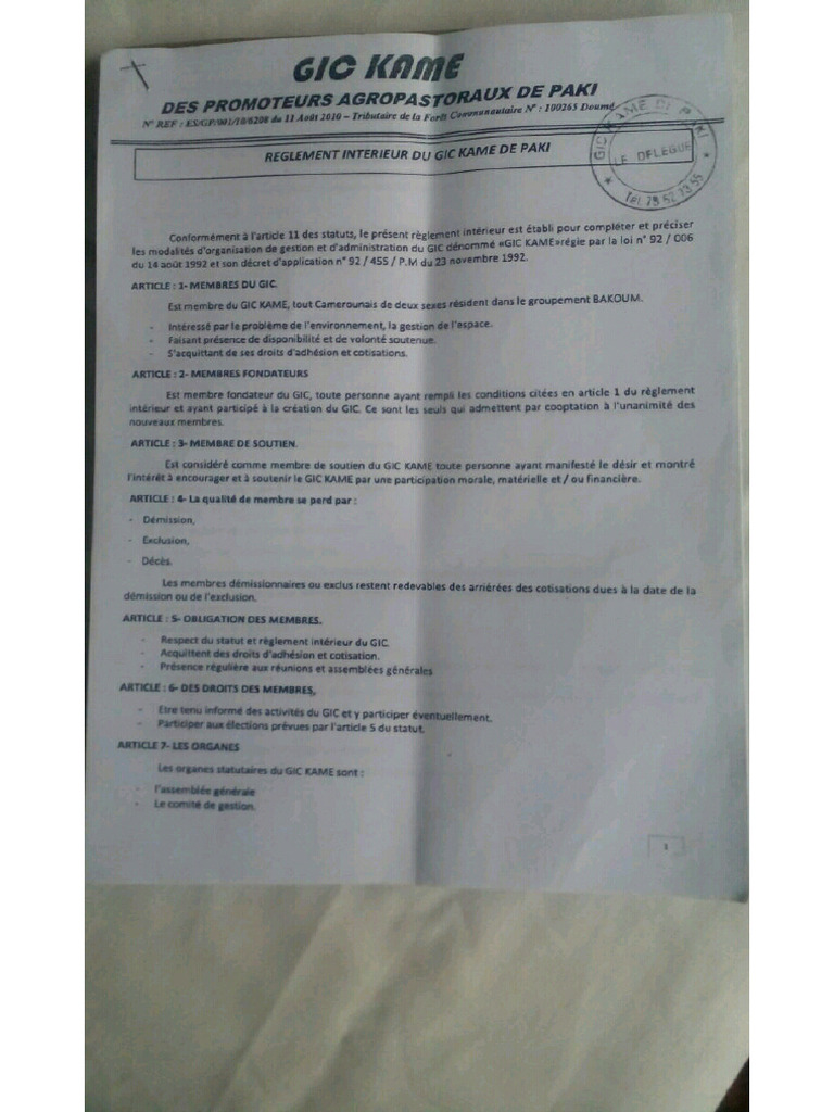 Reglement Interieur Gic Kame | PDF