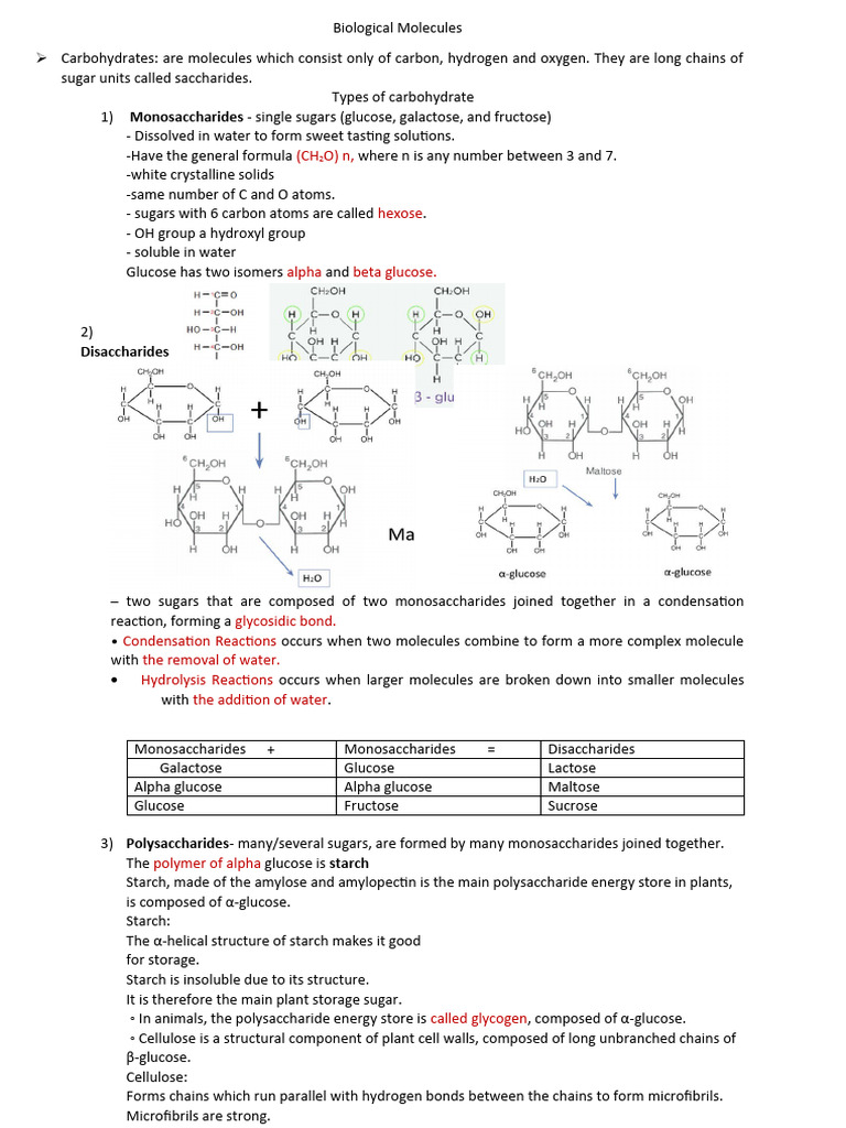 Biological Molecule | PDF | Carbohydrates | Glucose