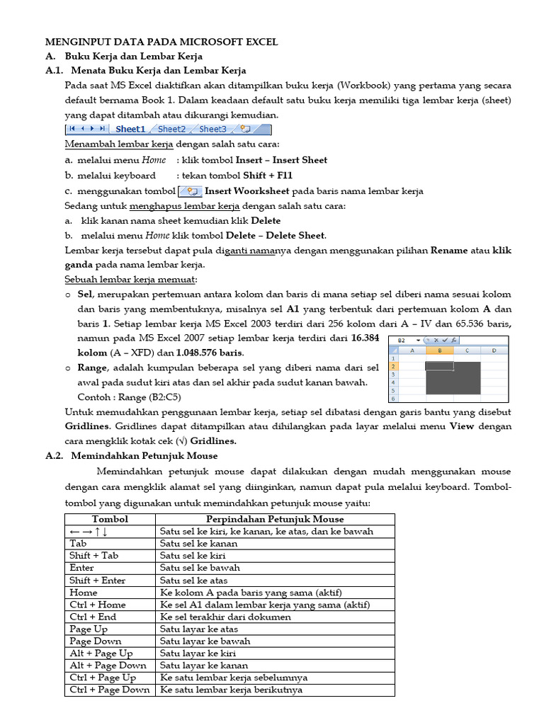Menginput Data MS Excel | PDF