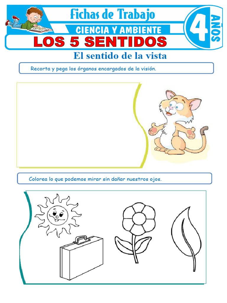 Ficha 02 Los Sentidos Preescolar Los 5 Sentidos Los Sentidos Para