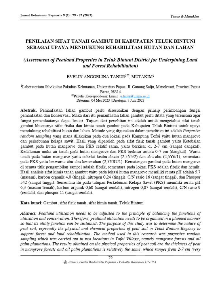 Darmiati Piabang | PDF | Ilmu Sosial | Sains & Matematika