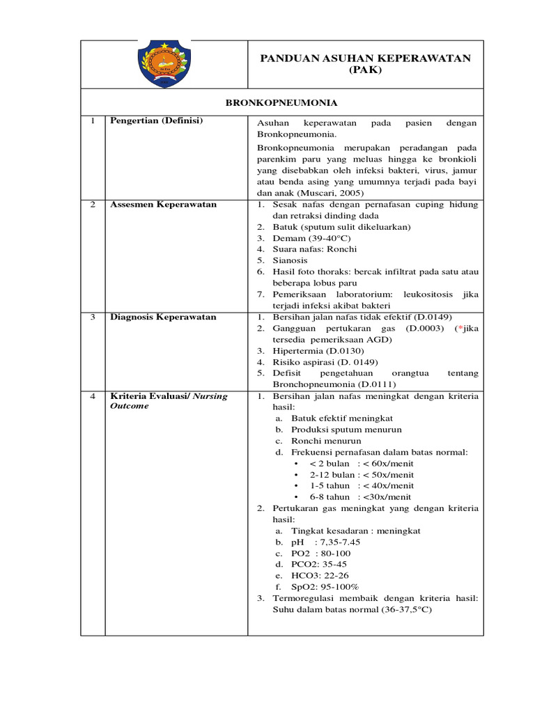 PANDUAN ASUHAN KEPERAWATAN | PDF