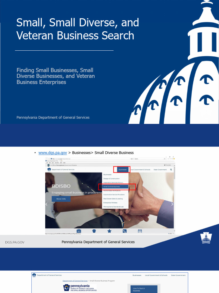 Finding Sbs And Sdbs Pdf Information Technology Computing