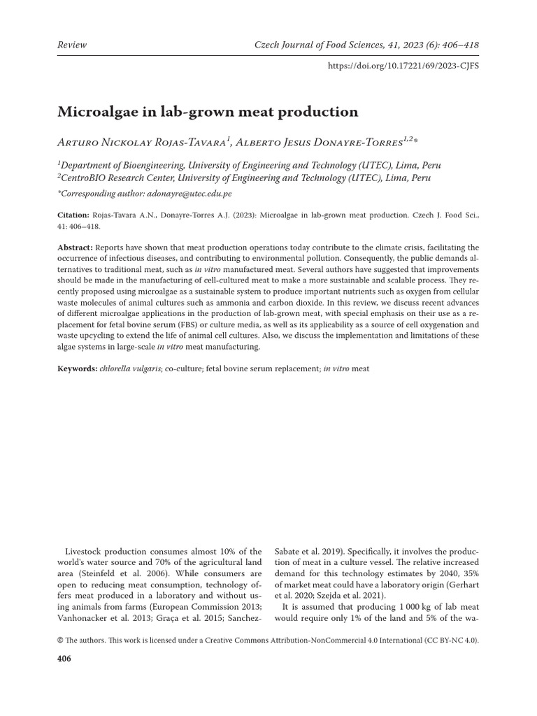 Microalgae in Lab-Grown Meat Production | PDF | Cell Culture | Tissue ...