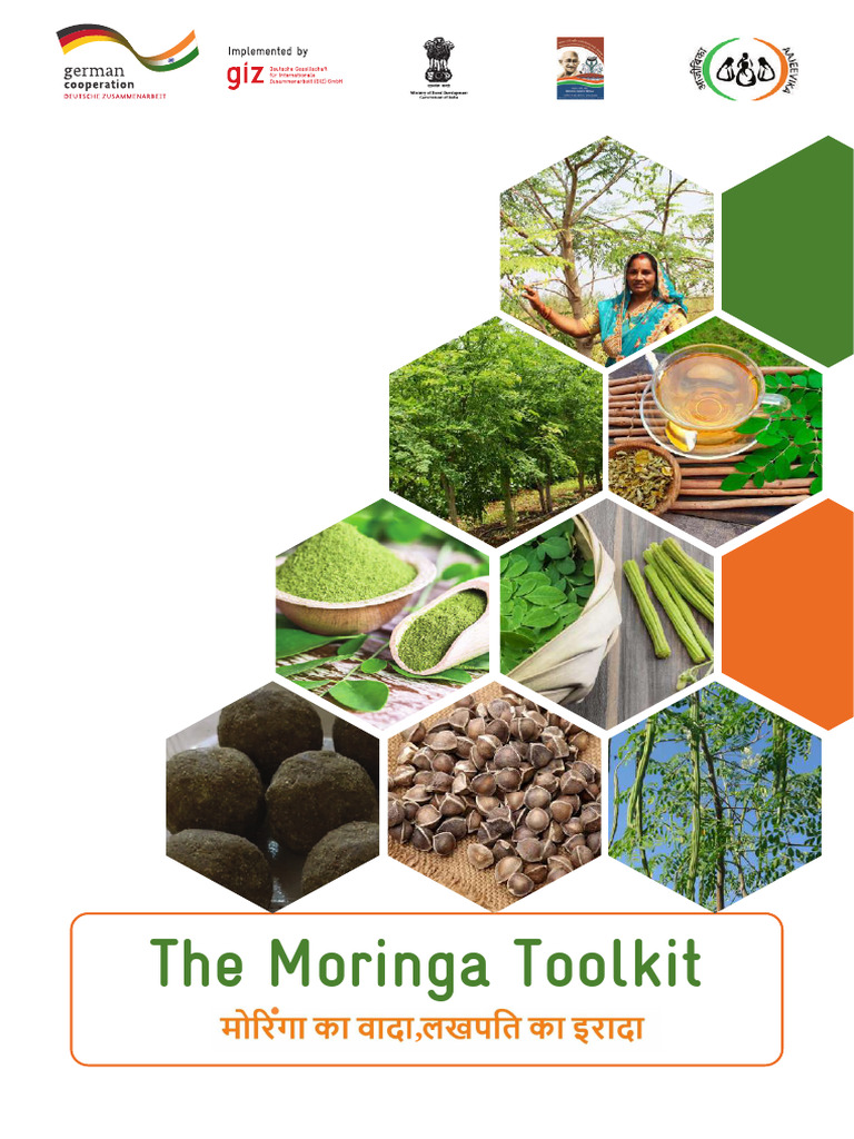 Moringa Tree | PDF | Climate Resilience | Agriculture