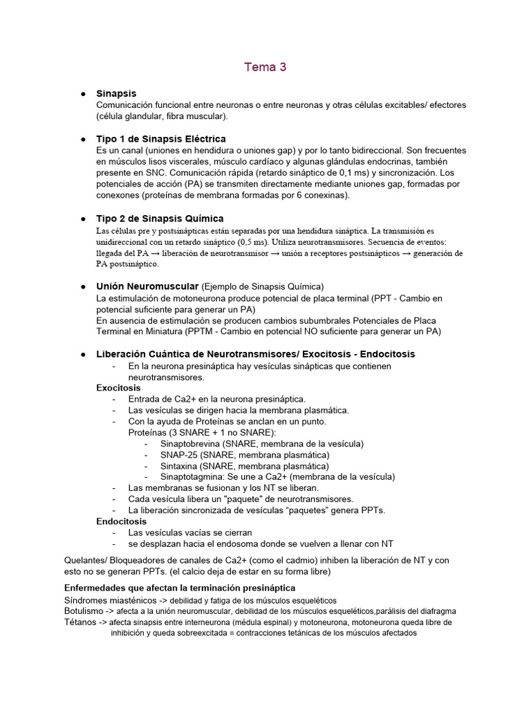 Tema 3 | PDF | Sinapsis | Sinapsis química