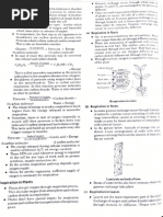 ? IGCSE Biology Chapter 11 Notes | PDF | Respiratory System ...