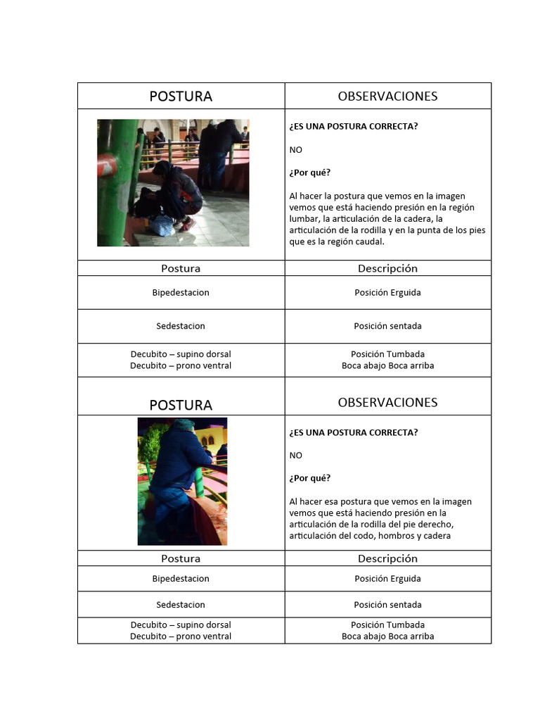 Posturas | PDF | Términos anatómicos de ubicación | Bipedalismo