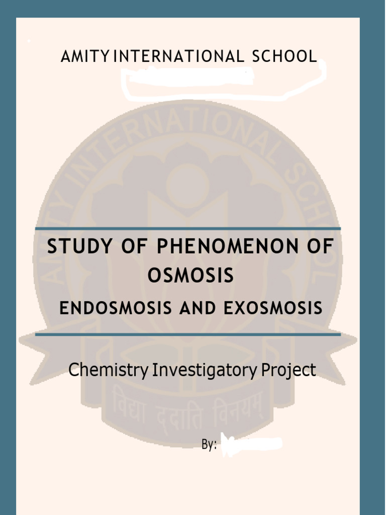SAMPLE CHEMISTRY PROJECT | Download Free PDF | Osmosis | Chemistry