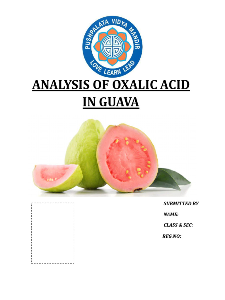 PROJECT TEMPLATE.docx (1) | PDF