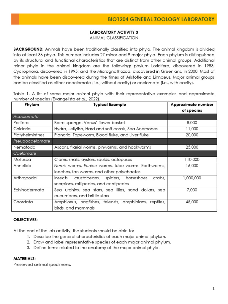 BIO1204 LA3 Animal Classification | PDF | Mollusca | Zoology