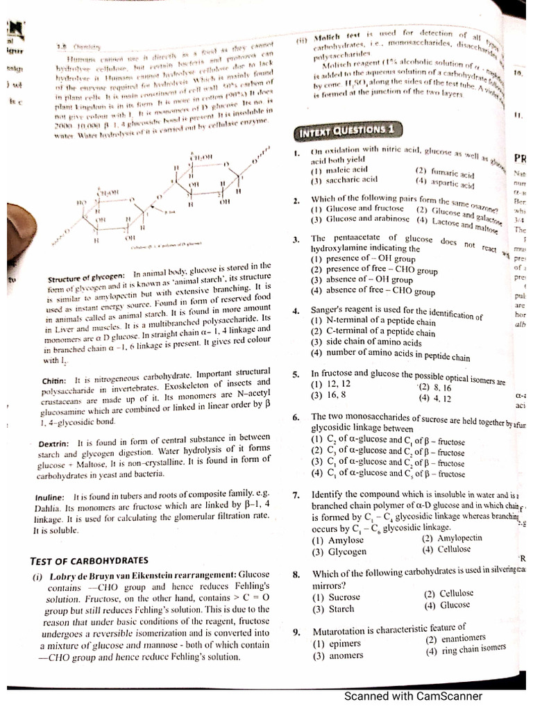 Biomolecule Notes | PDF