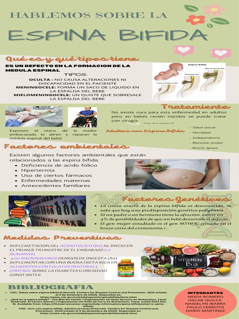 Infografia Espina Bifida | PDF | Especialidades Medicas | Medicina CLINICA