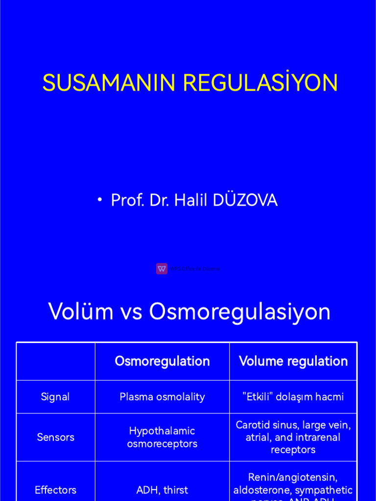 Bulantı Kusma | PDF