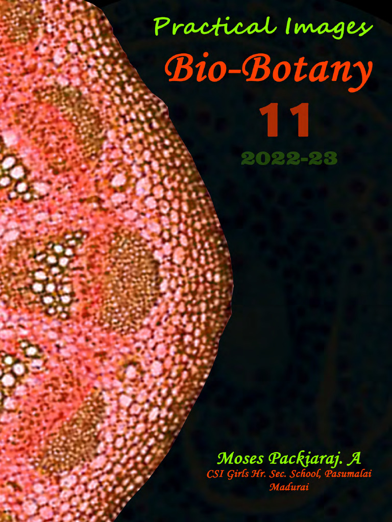 11 EM Bio Botany Practical Image | PDF