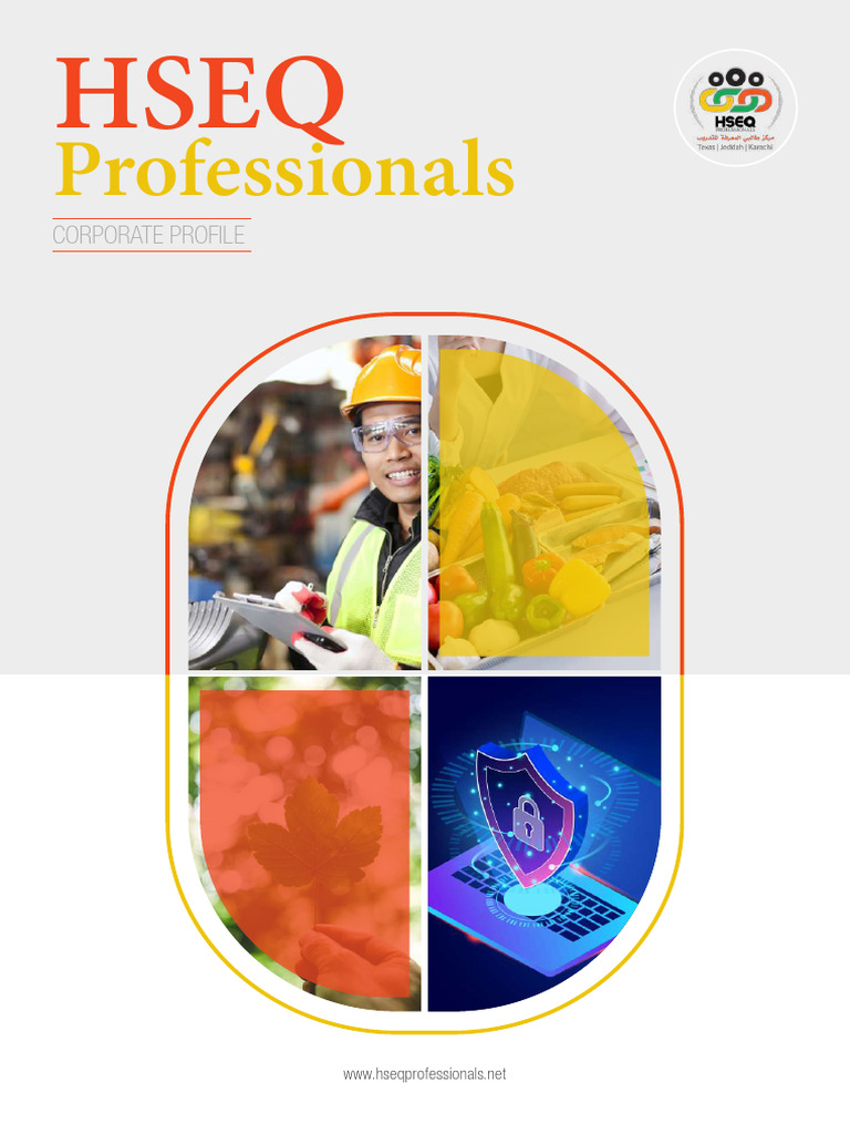 HSEQ Professionals Profile Nov. 2023 | PDF | Occupational Safety And Health | Safety
