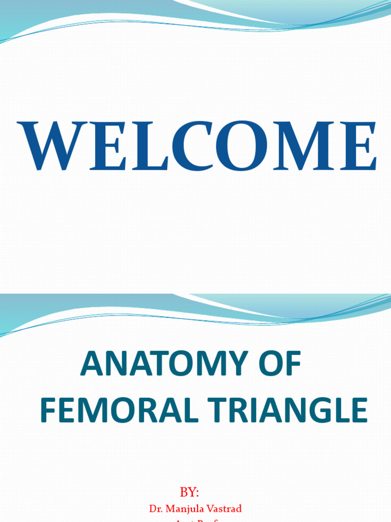 Anatomy of FEMORAL TRIANGLE | PDF | Vein | Lower Limb Anatomy