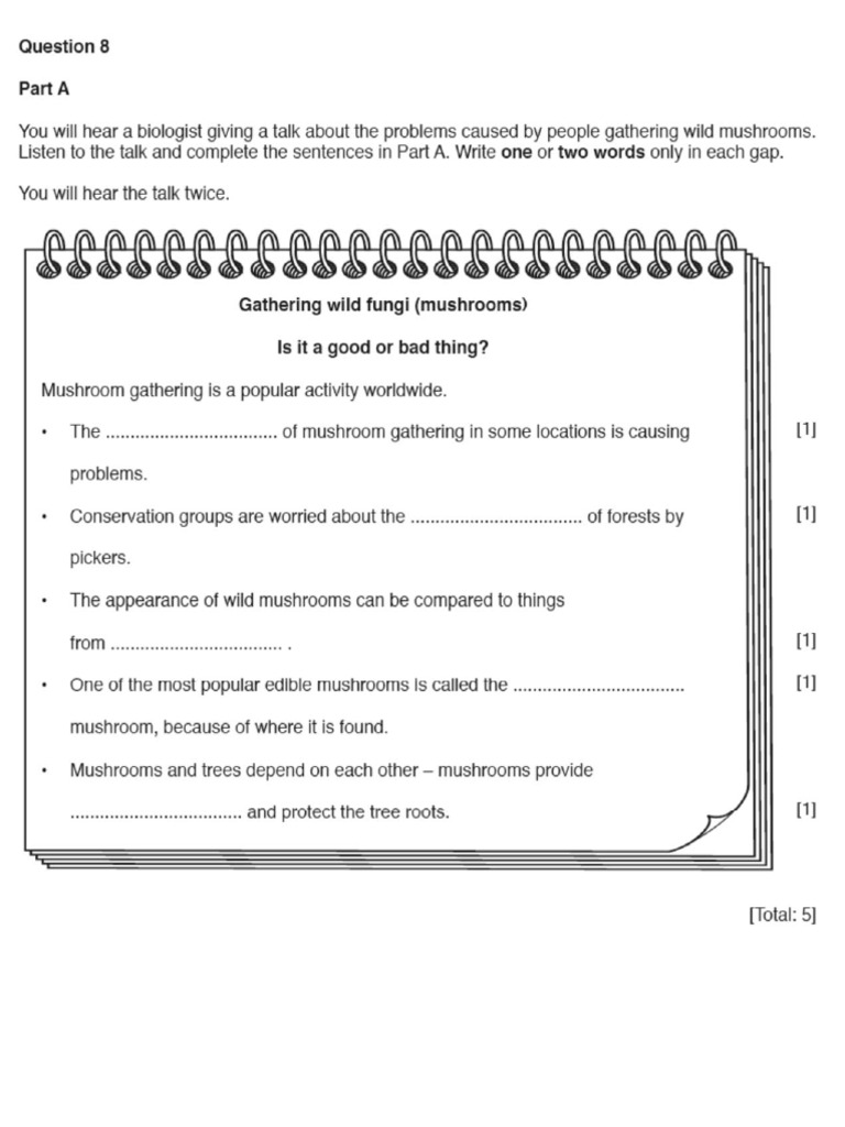 LBN - Listening - 3 | PDF