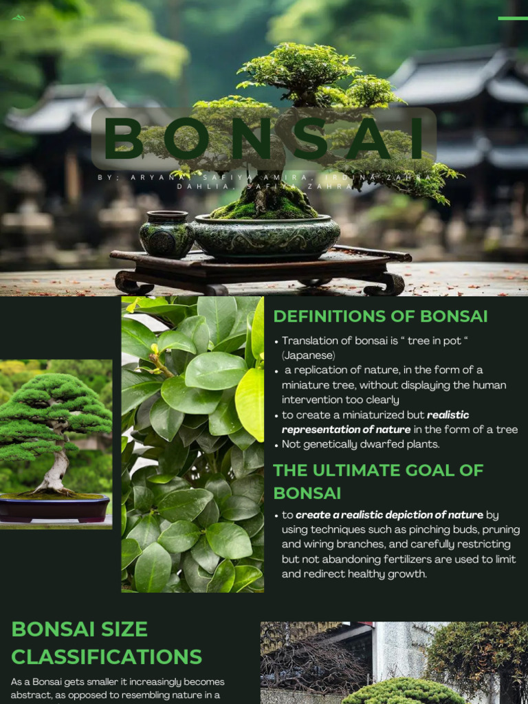 Bonsai 2 | Download Free PDF | Bonsai | Trees