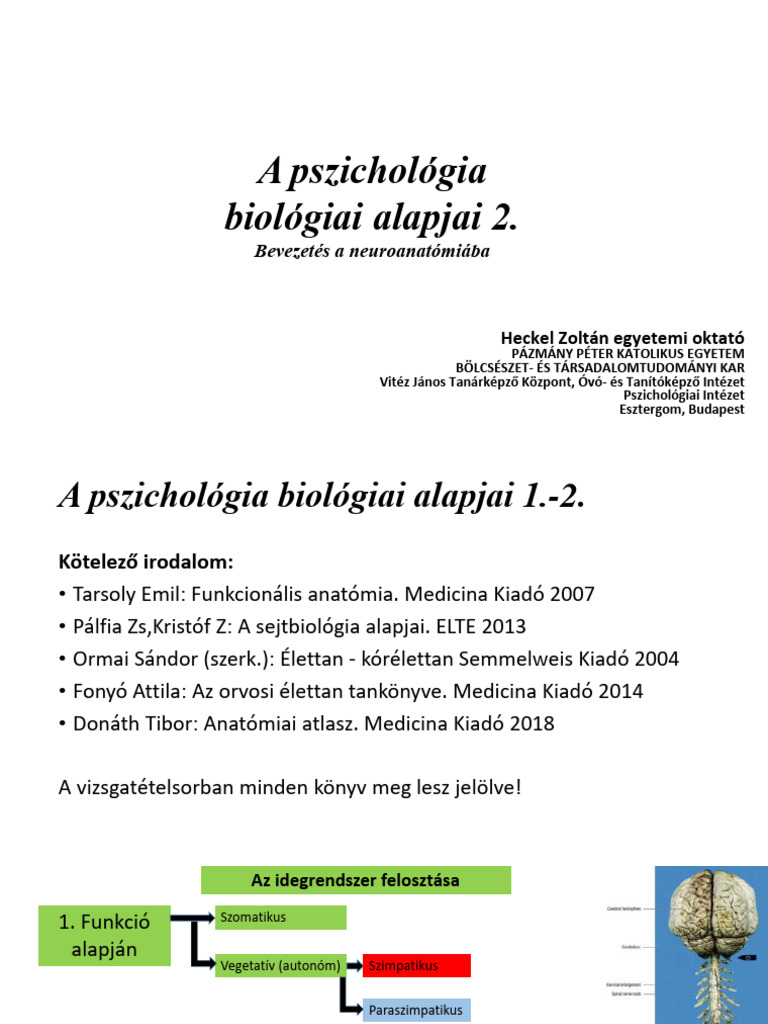 Pszich - Bioalapjai 2.bev - Neuro | PDF